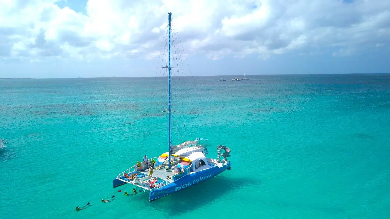 Catamaran Dolphin Snorkeling Adventure Cruise incl. open bar | Delphi ...